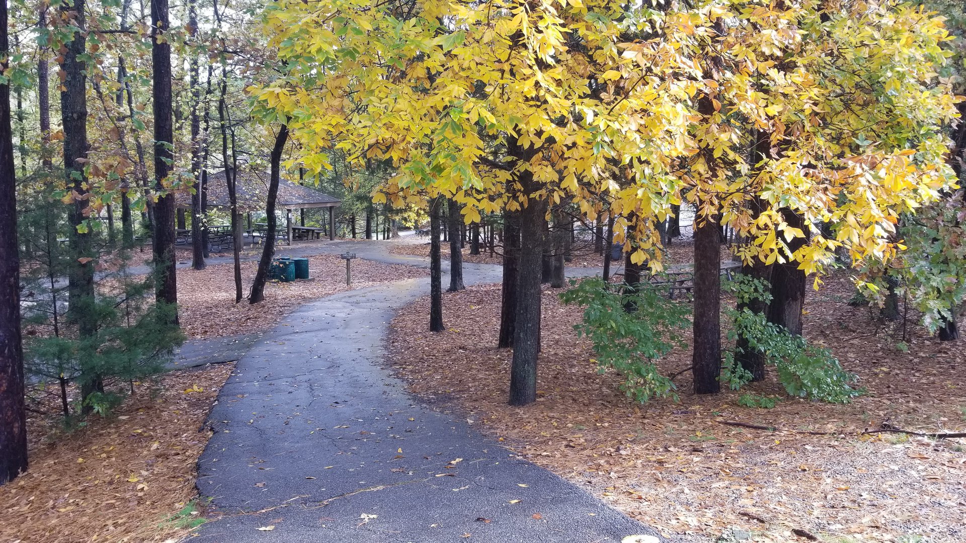 Happyly: Deep Run Park