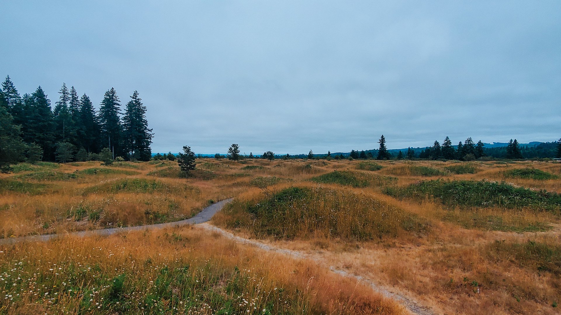 Happyly: Mima Mounds Natural Area Preserve