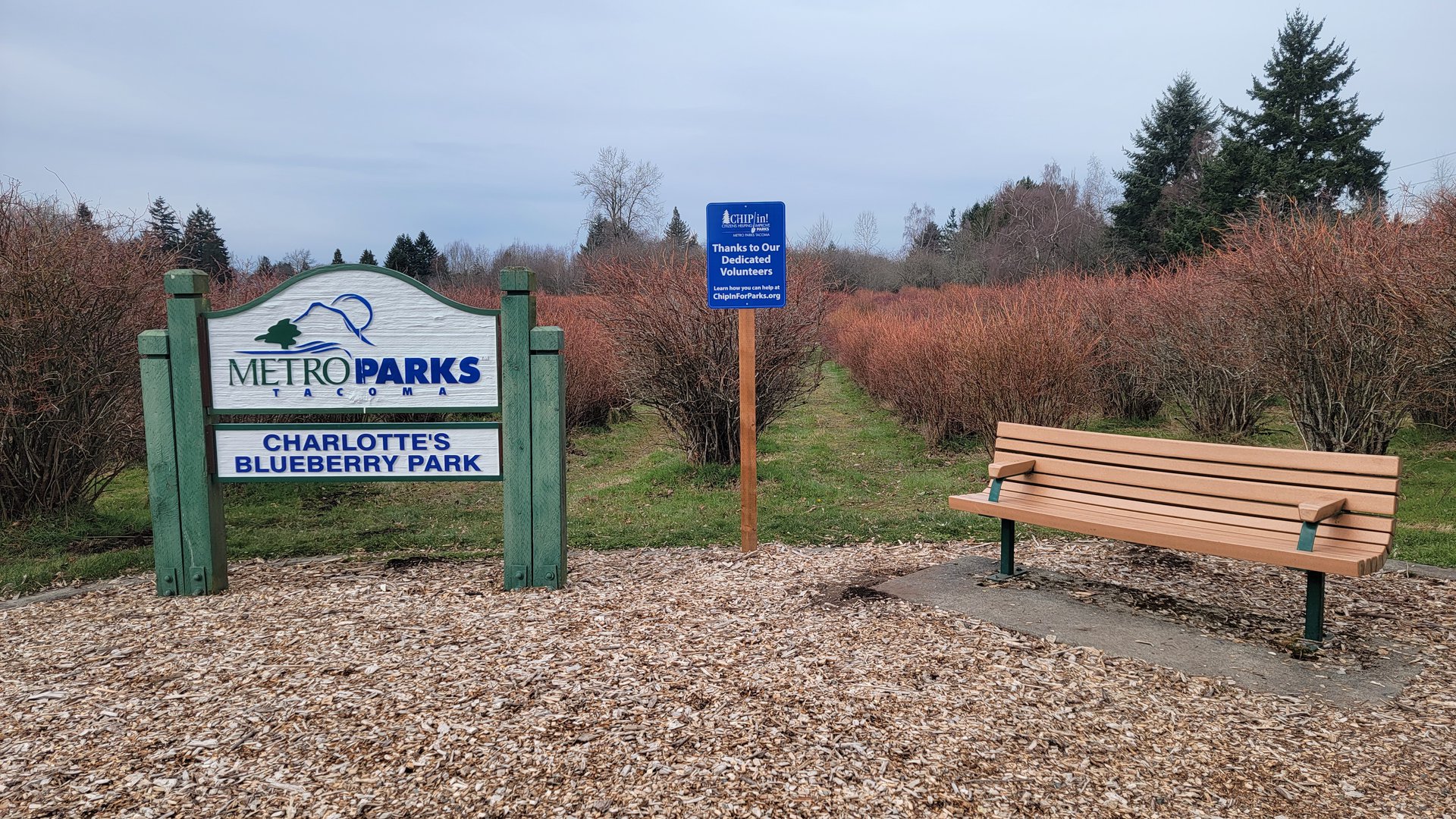 Happyly: Charlottes Blueberry Park