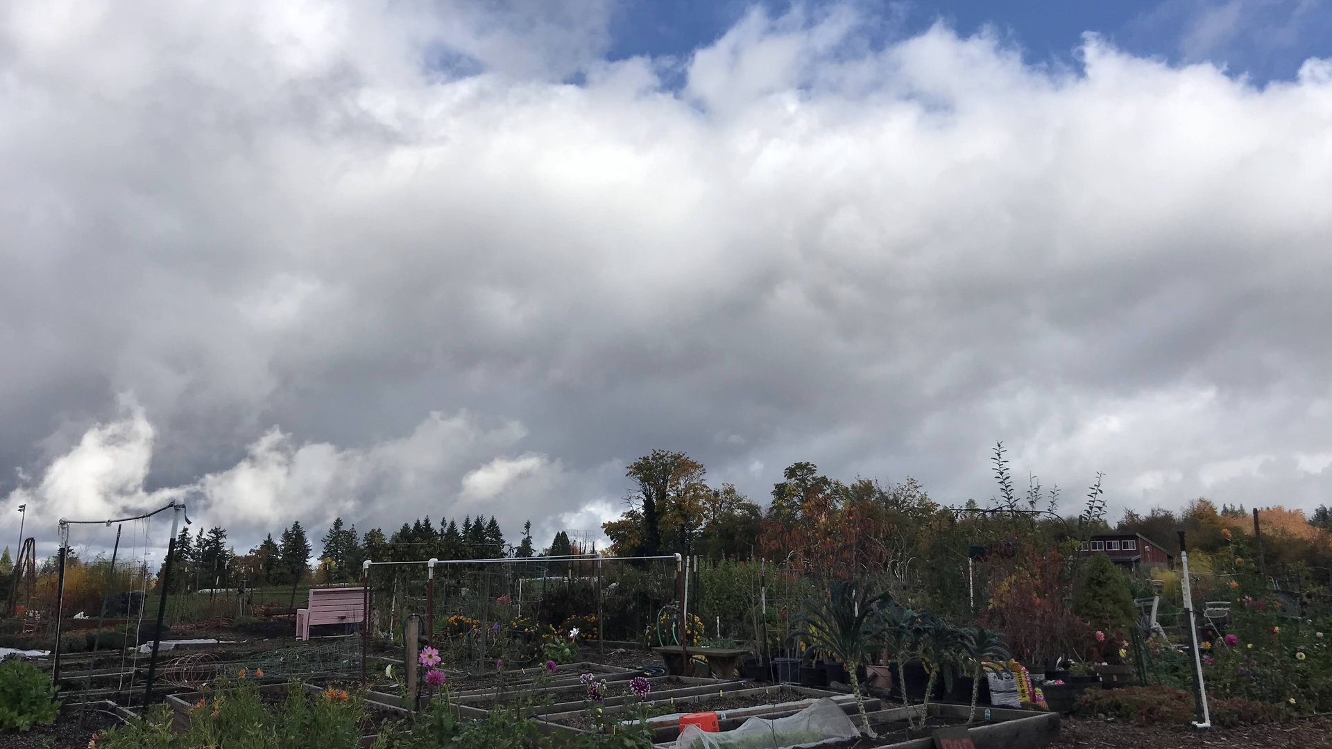 Happyly: Luscher Farms