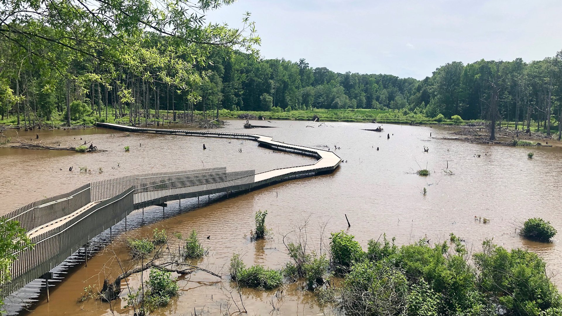 Happyly: Huntley Meadows Park