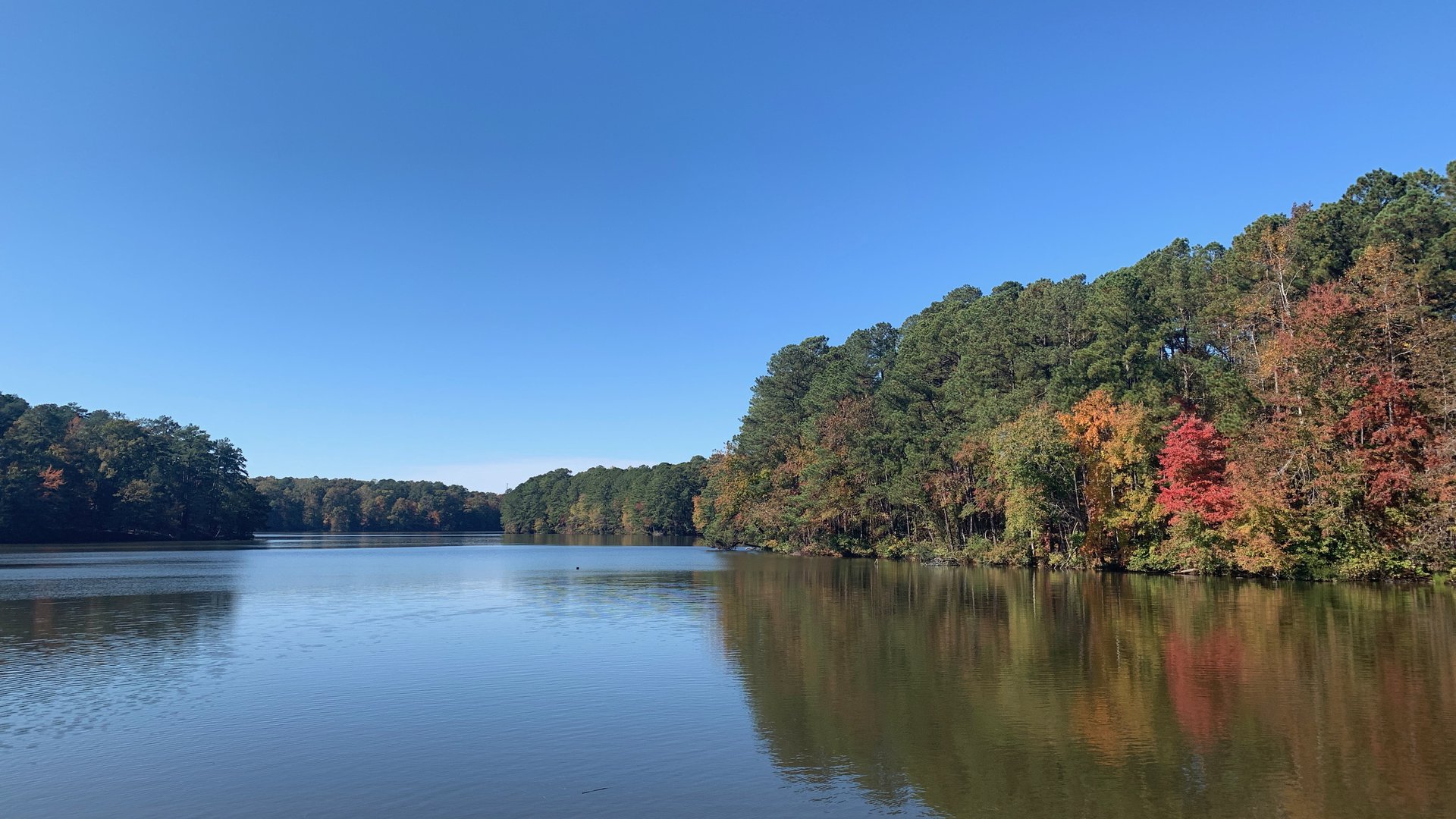 Happyly: Lake Johnson