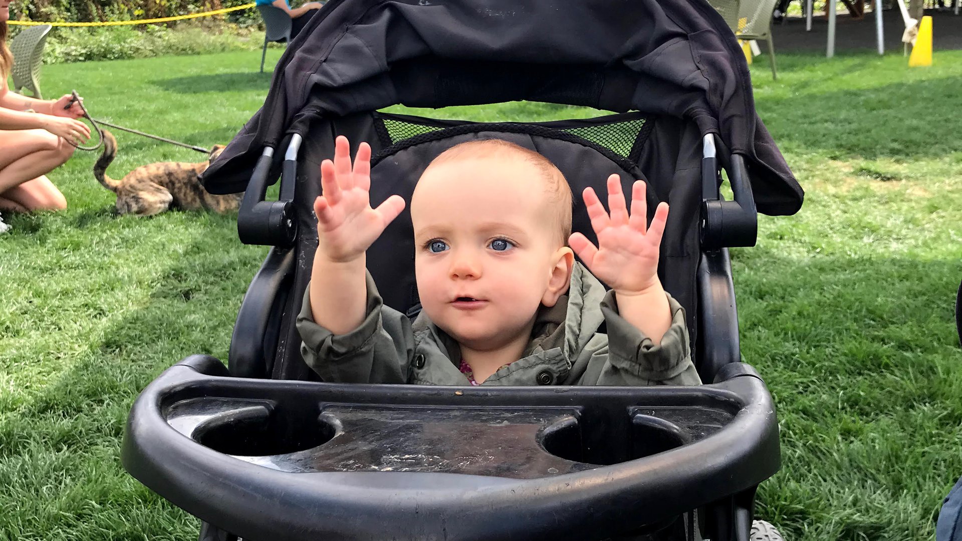 Happyly: TopWire Hop Project