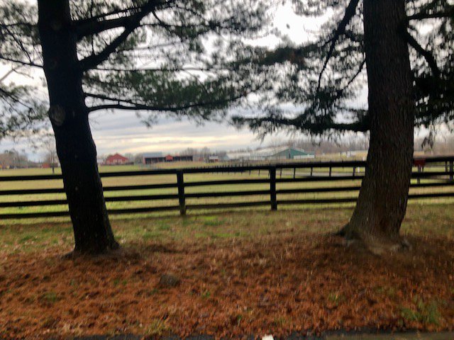 Happyly: Frying Pan Farm Park