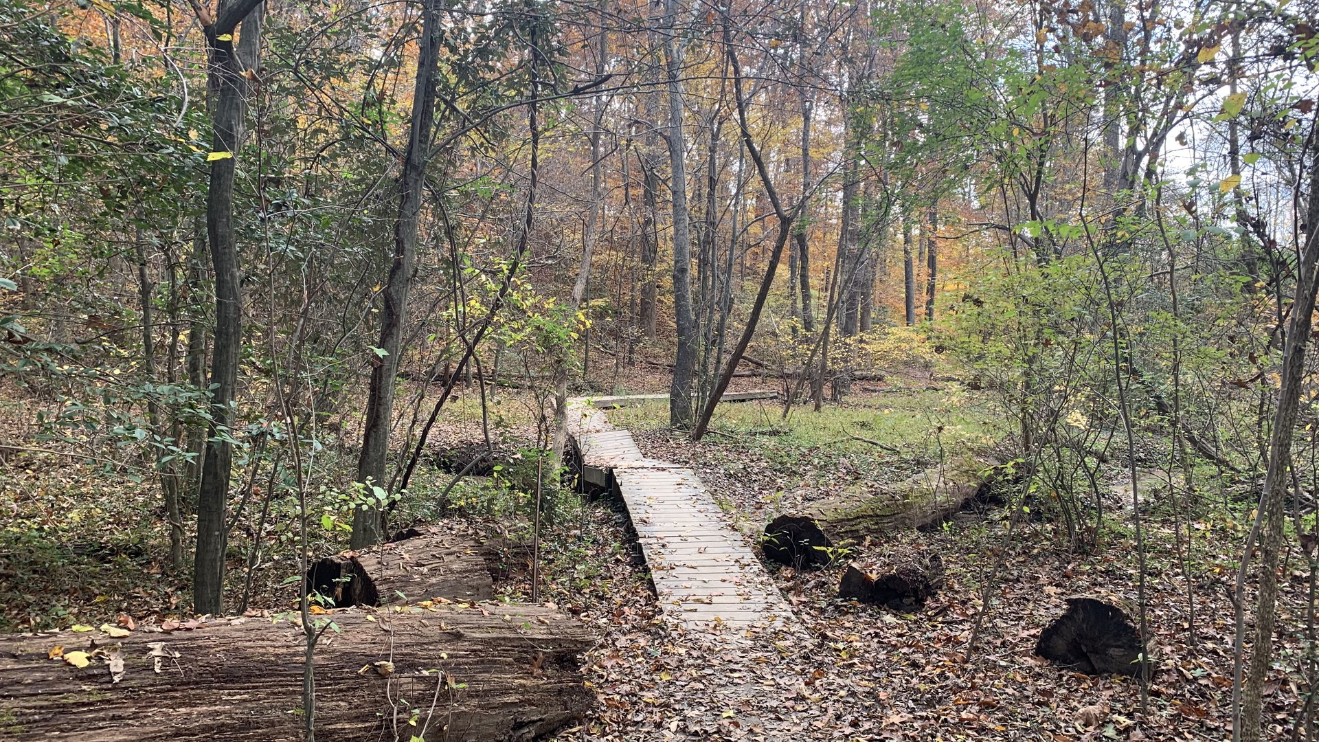 Happyly: Powhite Park Loop Trail