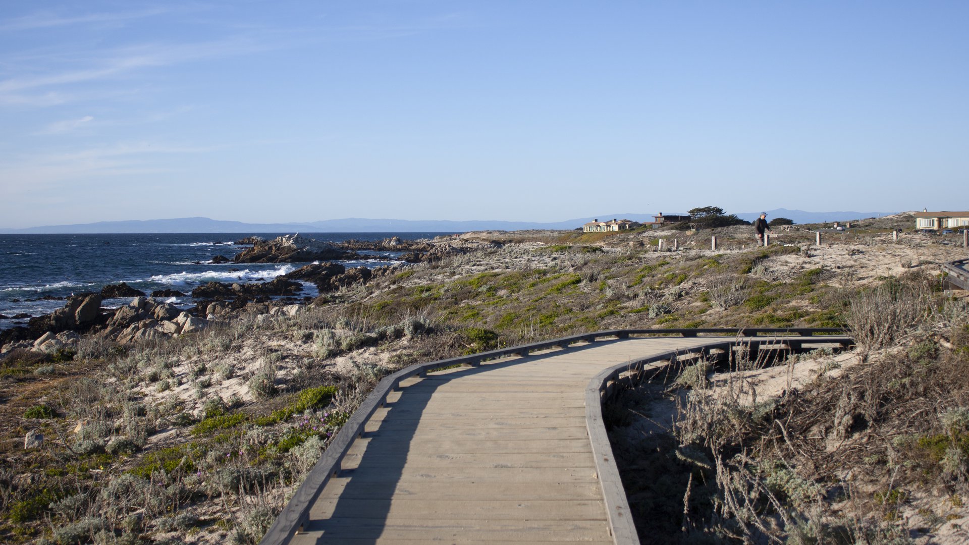 Happyly: Asilomar Coast Trail