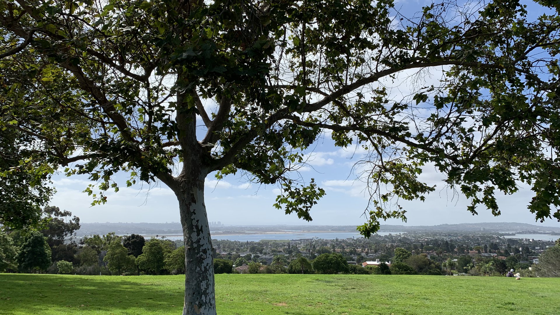 Happyly: Kate Session Park and Playgrounds in Pacific Beach