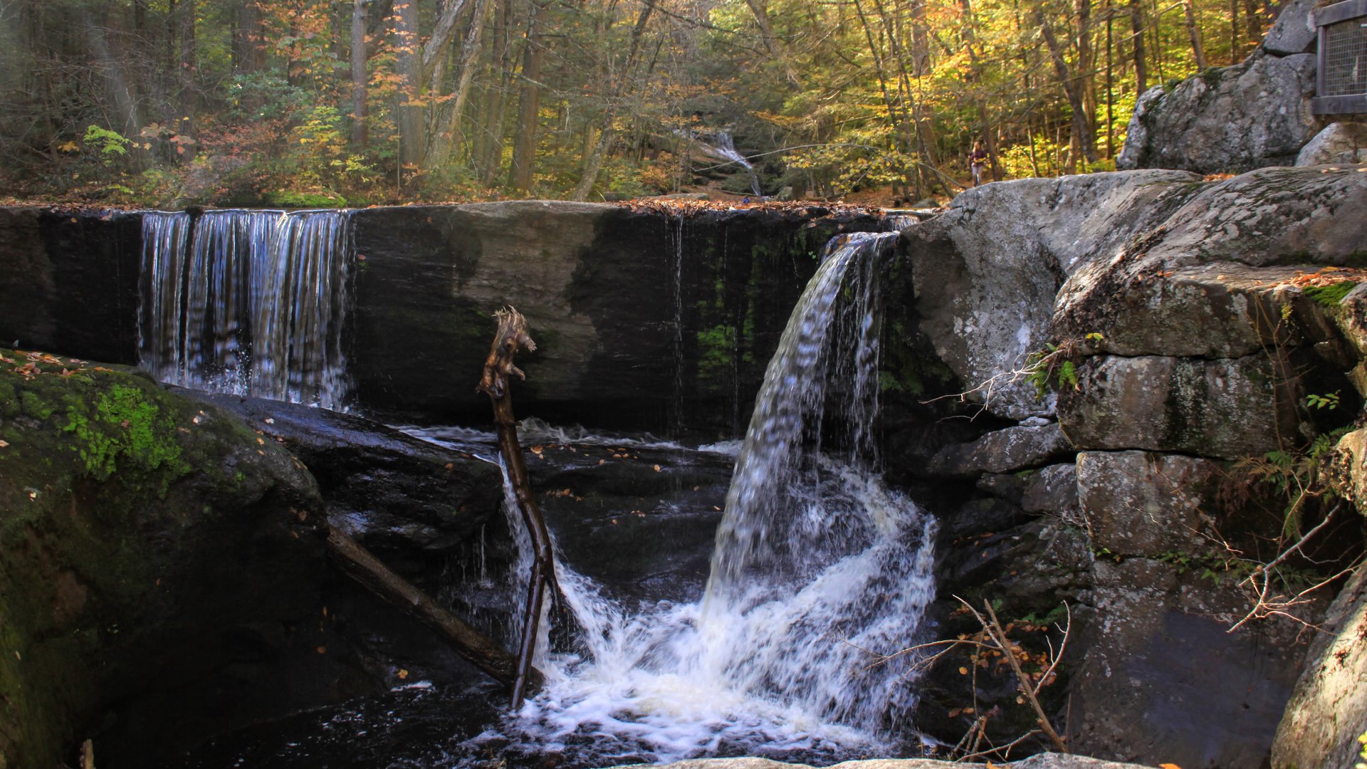 Happyly: Enders Falls