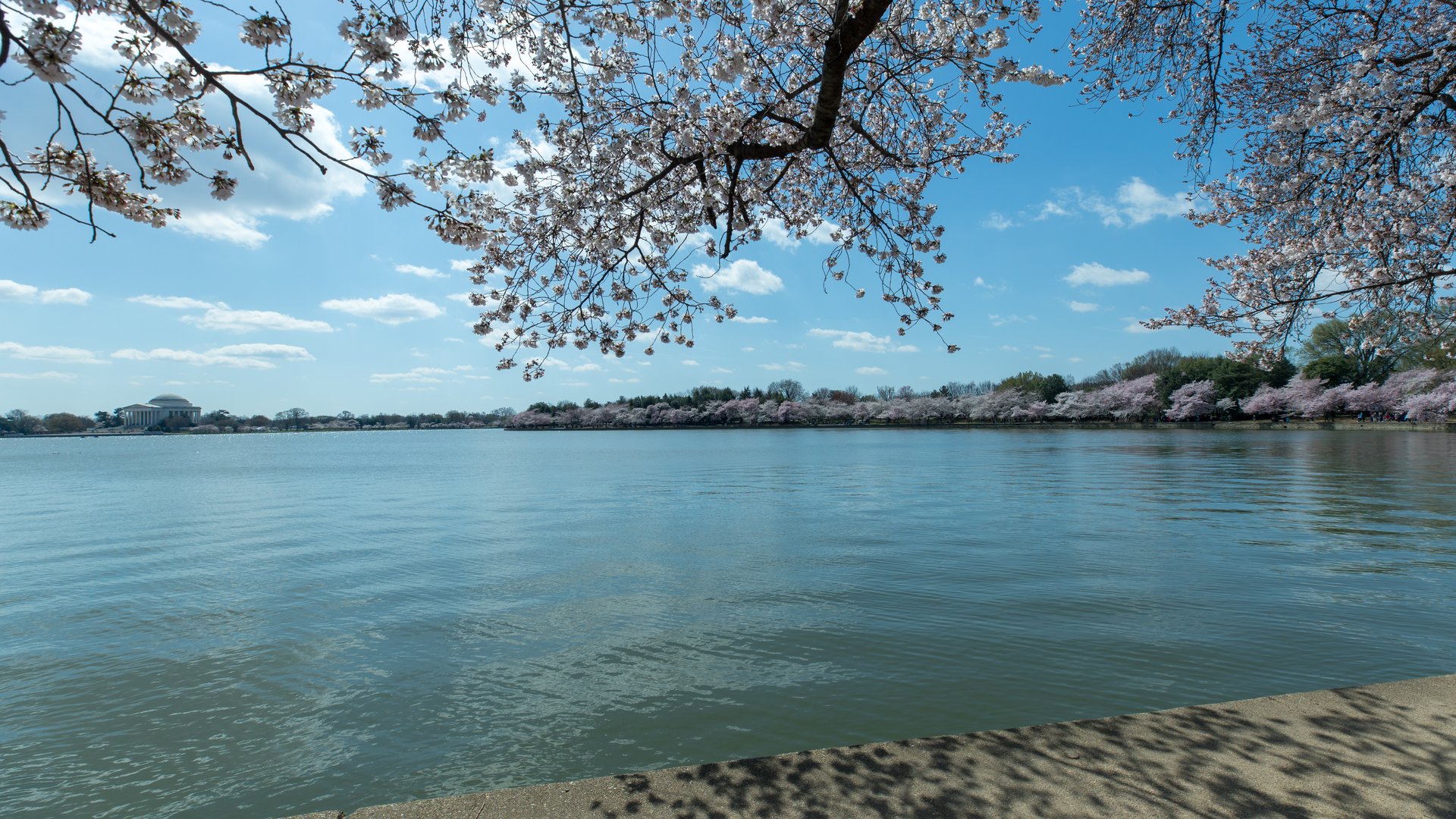 Happyly: Hains Point & East Potomac Loop