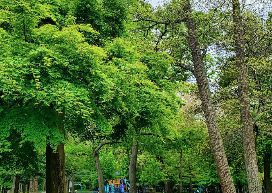 Happyly: Valley Stream State Park