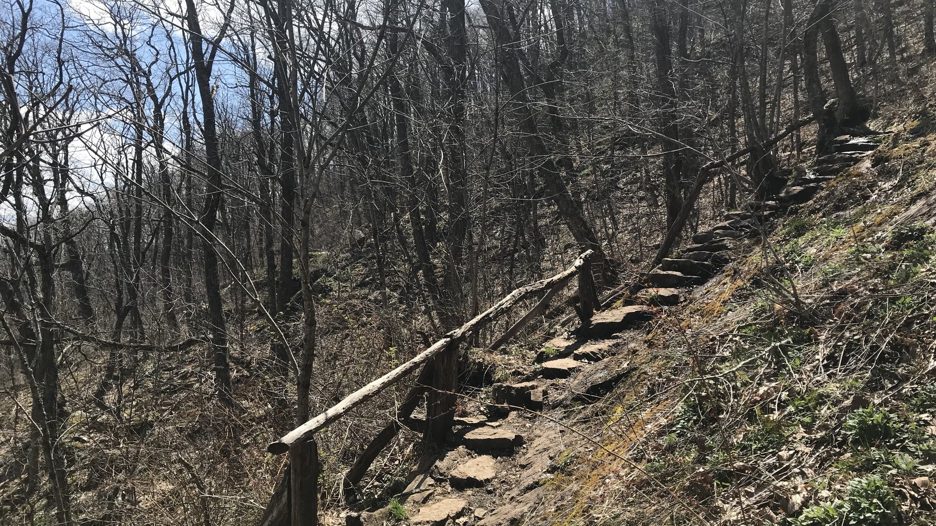 Happyly: Craven Gap Trail