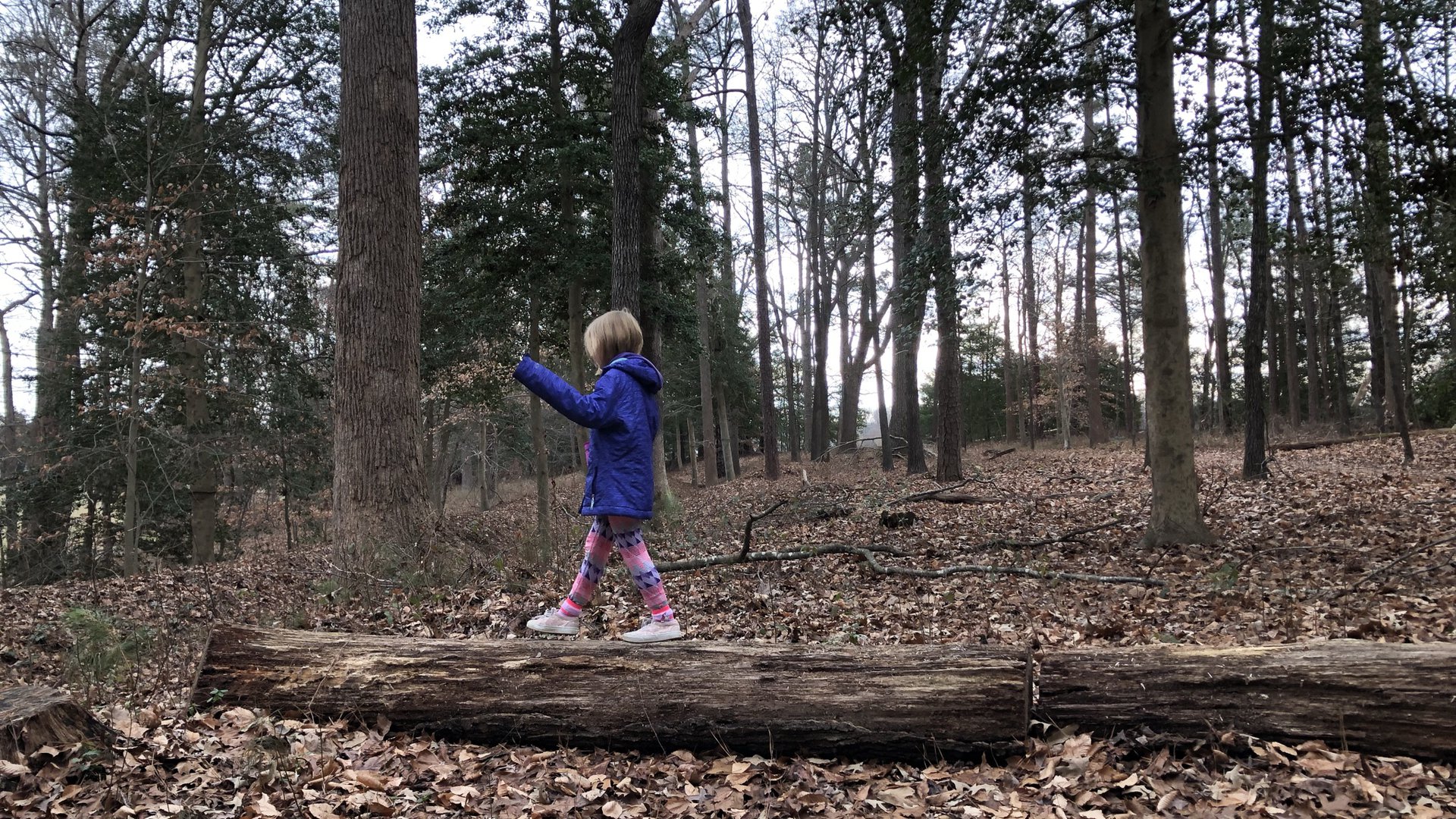 Happyly: Cold Harbor Battlefield