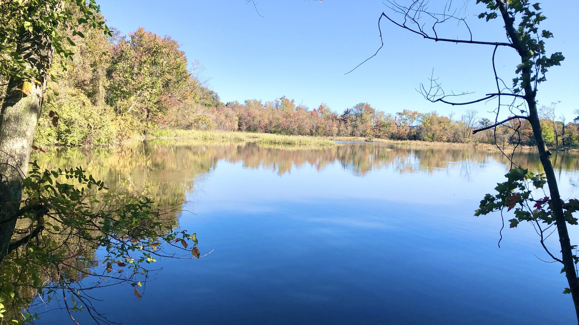 Happyly: Dutch Gap Conservation Area