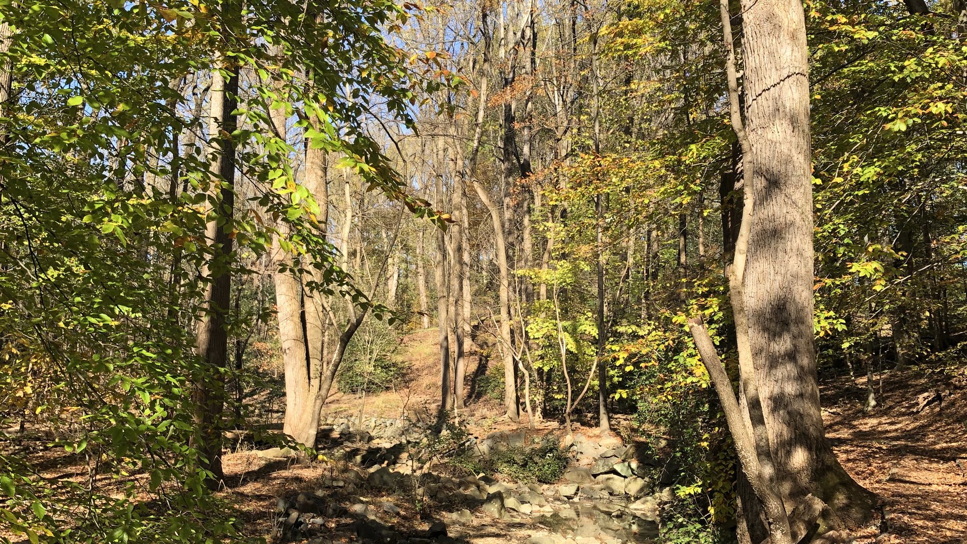 Happyly Holmes Run Stream Valley Park happyly-holmes-run-stream-valley-park