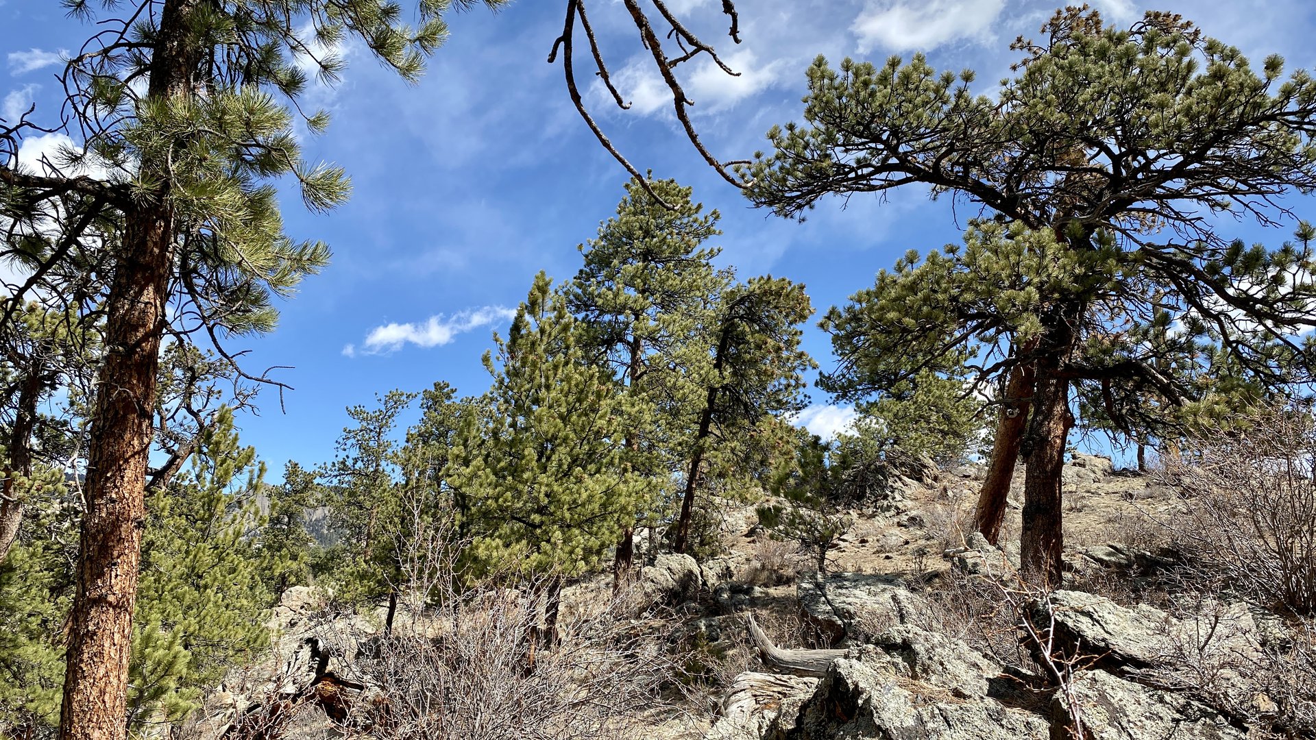 Happyly: Knoll-Willows Nature Preserve